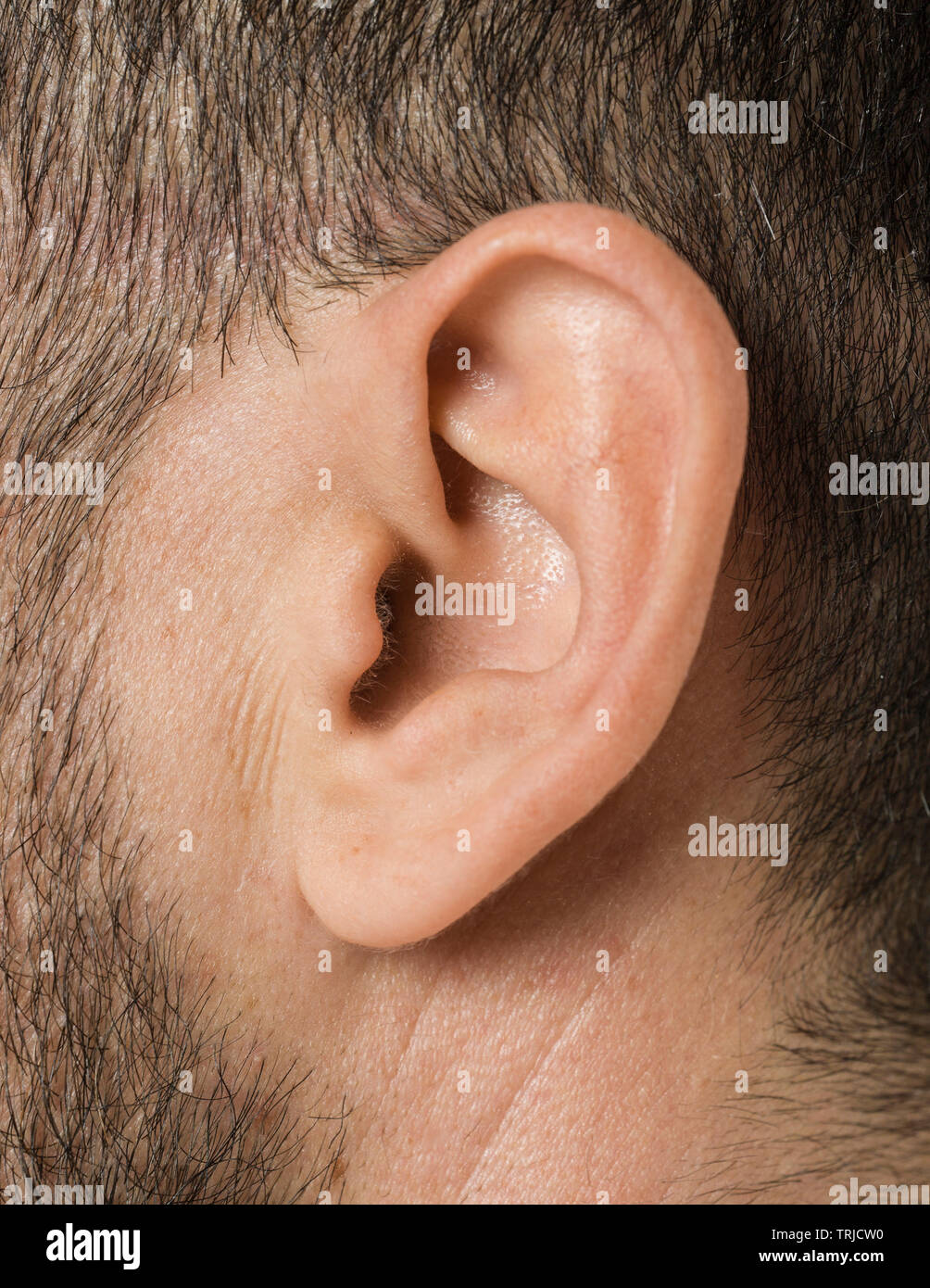 human ear detail close-up shot isolated Stock Photo - Alamy