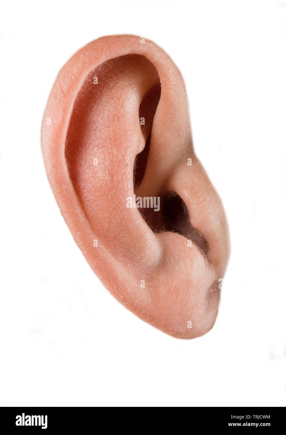 Human ear close up Cut Out Stock Images & Pictures - Alamy