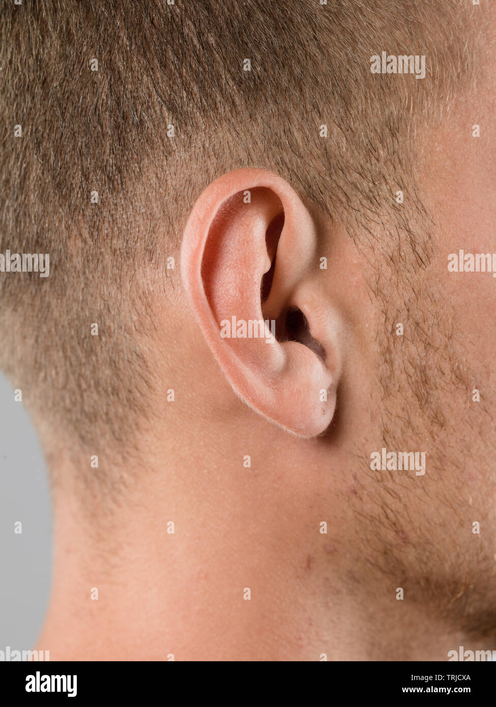human ear detail close-up shot isolated Stock Photo - Alamy