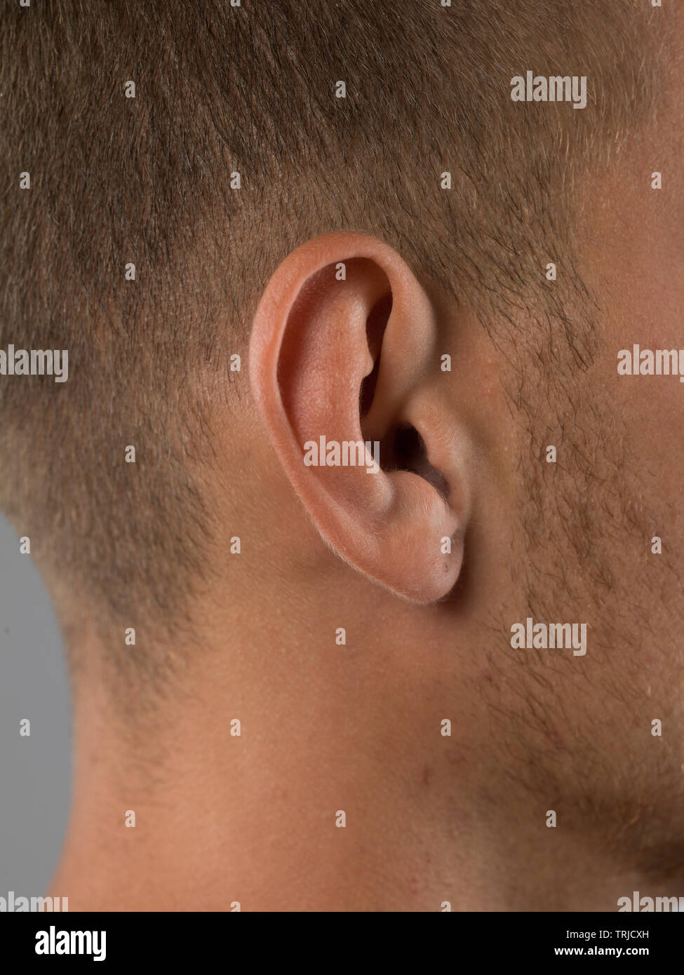 human ear detail close-up shot isolated Stock Photo - Alamy