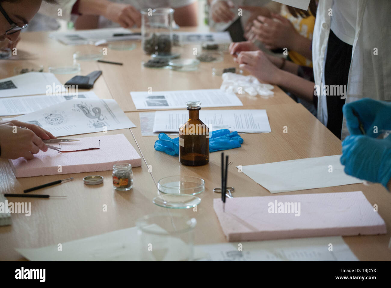 Working in a research chemistry biology lab laboratory making ...