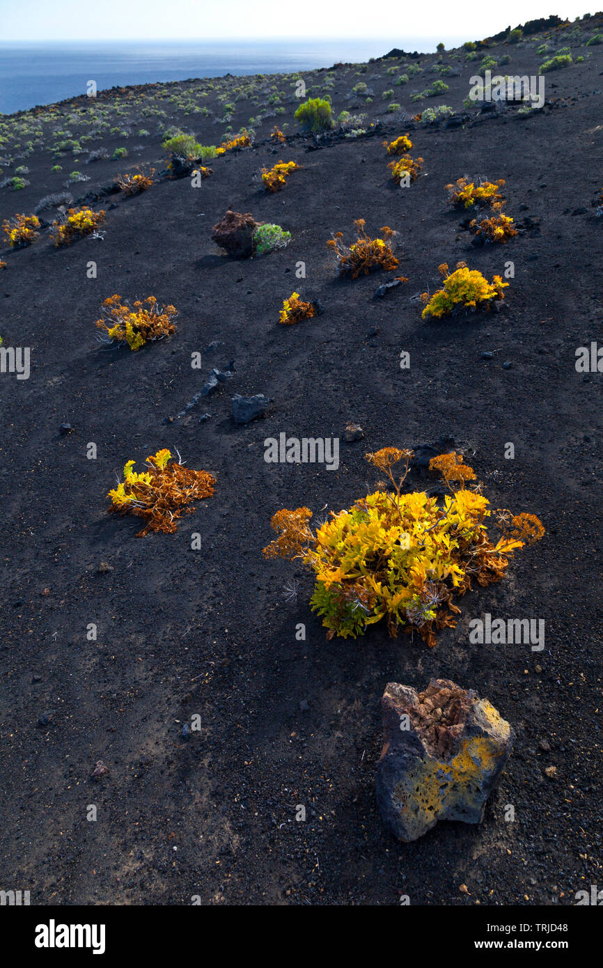 Las caletas hi-res stock photography and images - Alamy