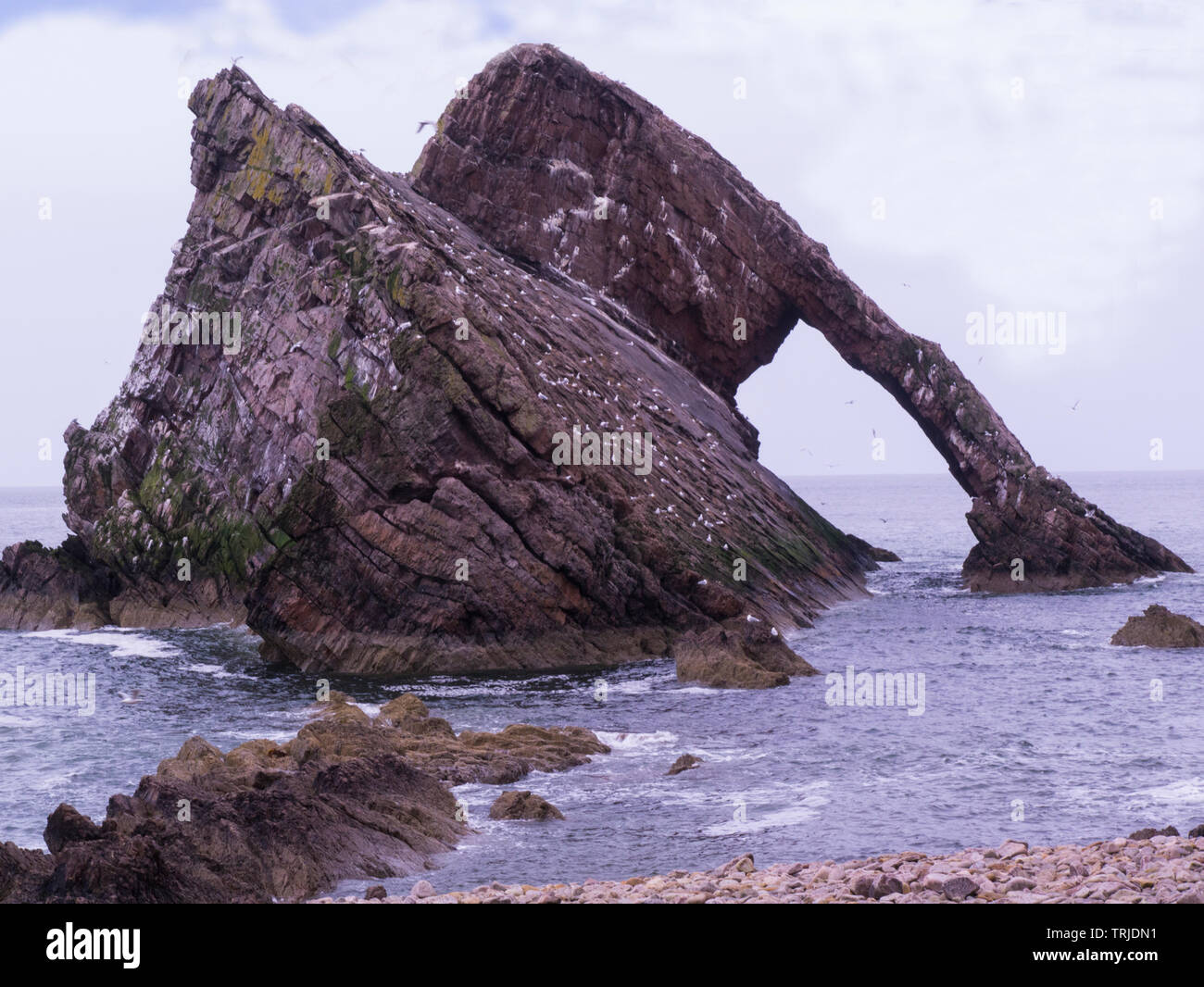 Iconic Bow Fiddle Rock near Portnockie Moray Firth Speyside Northern ...