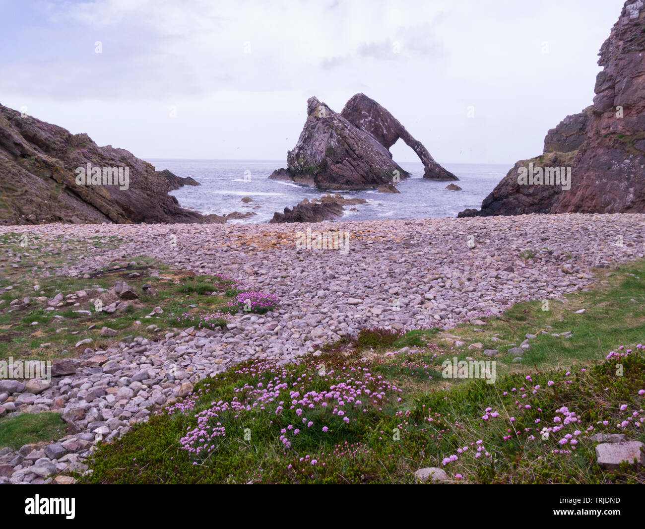 Moray coast trail hi-res stock photography and images - Alamy