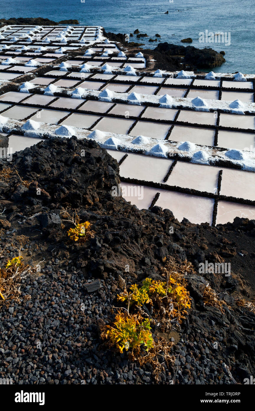 Salinas de Punta Larga. Pueblo Fuencaliente. Isla La Palma. Pronvincia ...