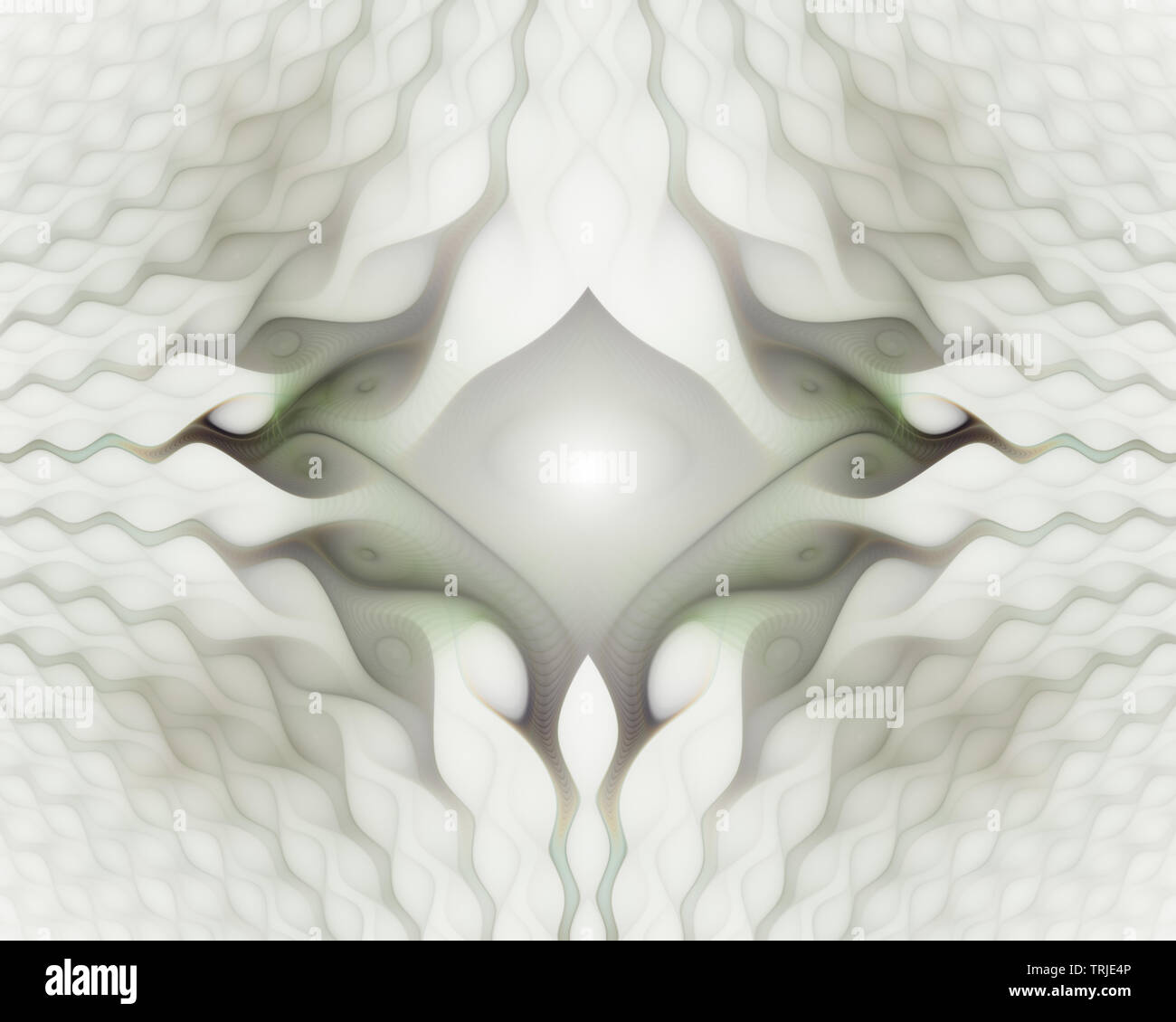 Wavy symmetrical cells patterns. Geometric, organic forms. A beautiful ...