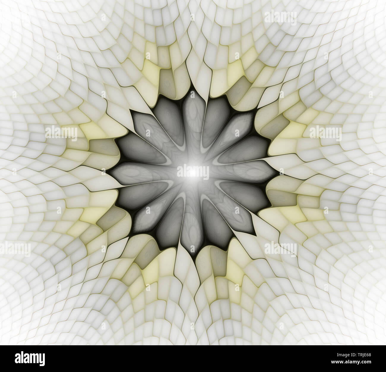 Wavy symmetrical cells patterns. Geometric, organic forms. A beautiful ...