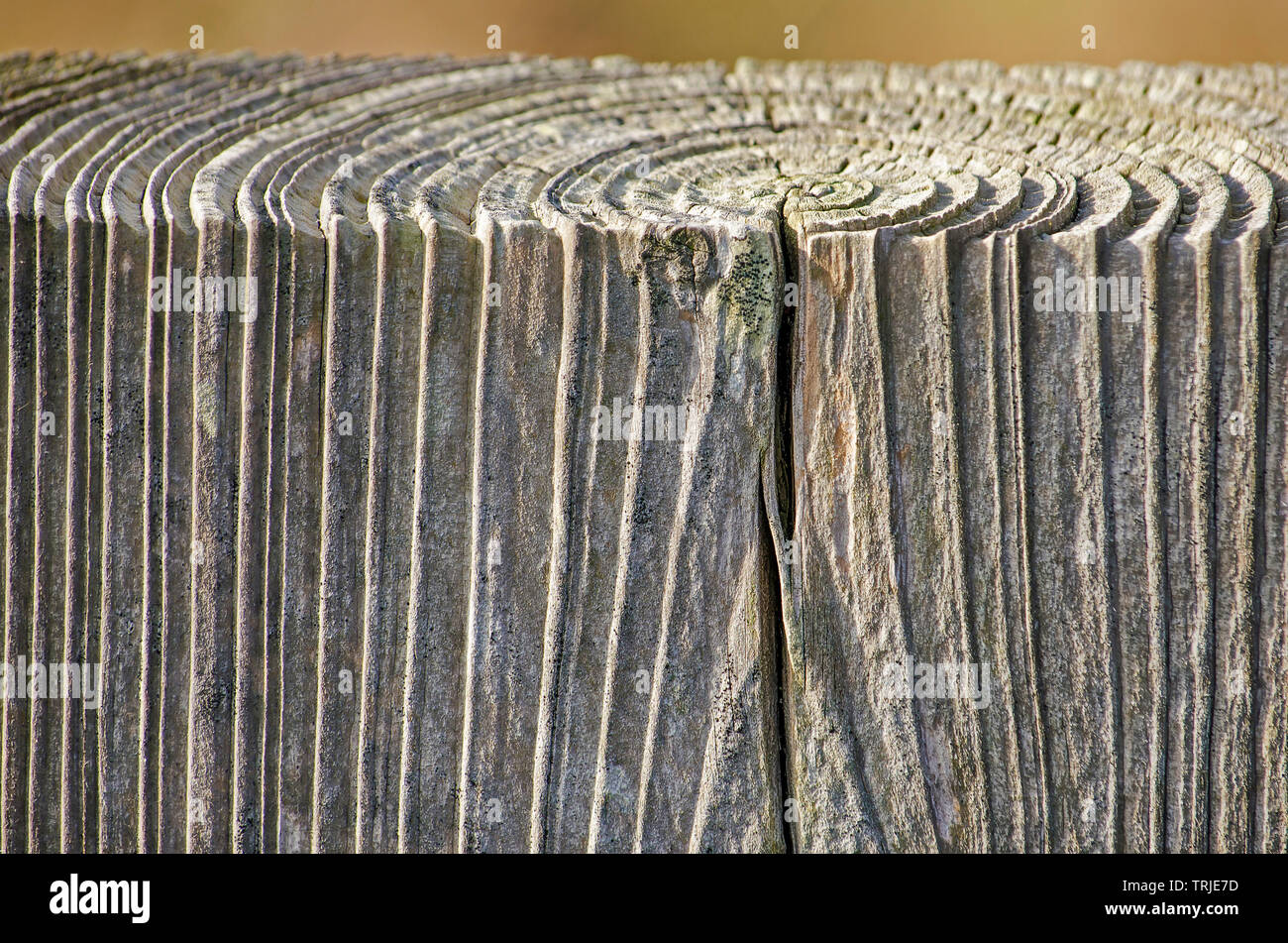 Log pole fence hi-res stock photography and images - Alamy