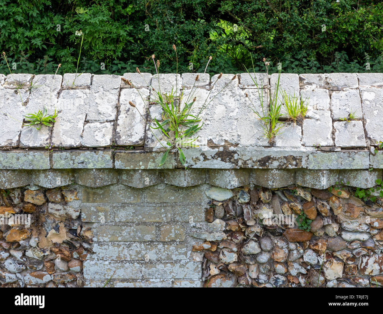 Covered flint hi-res stock photography and images - Alamy