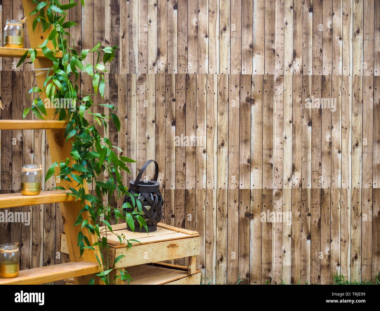 celebration photo wall decorated with white lanterns Stock Photo - Alamy