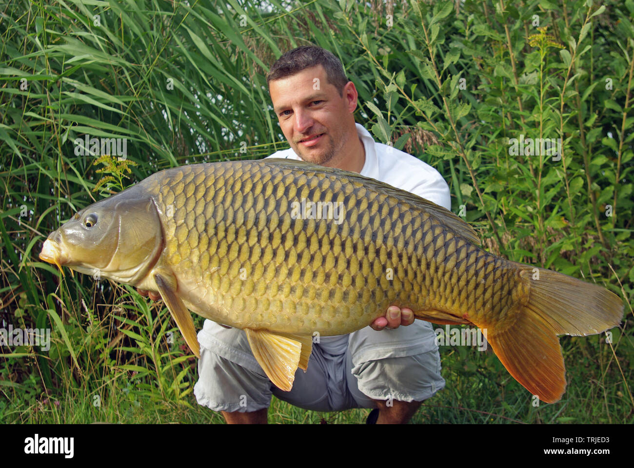 lucky fisherman holding a big common carp. Freshwater fishing Stock ...