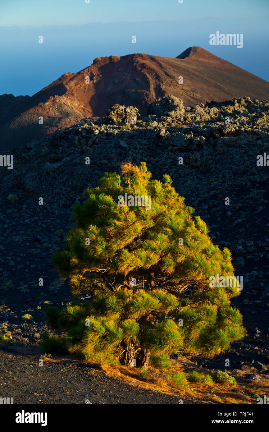 Volcan taburiente hi-res stock photography and images - Alamy
