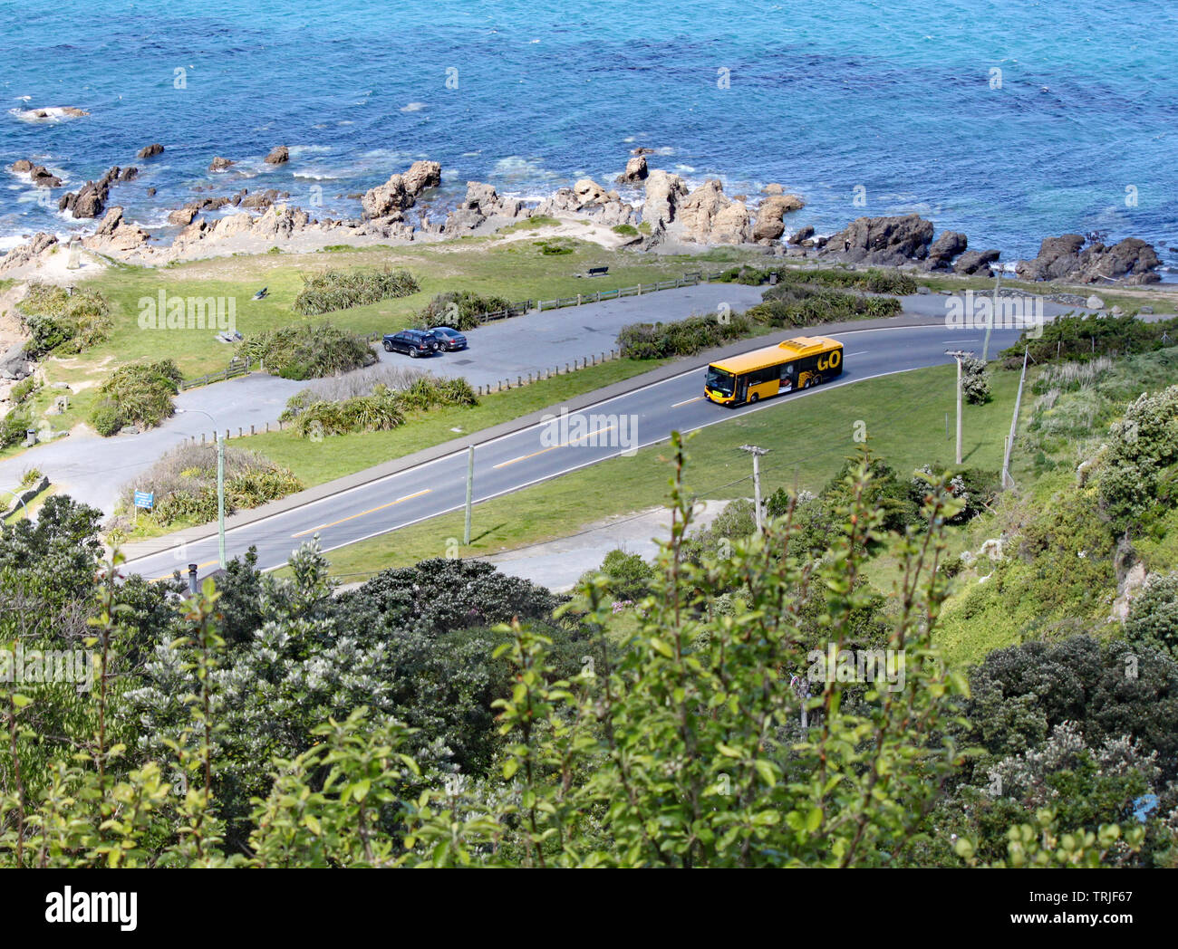 Lyall bay new zealand hi-res stock photography and images - Alamy