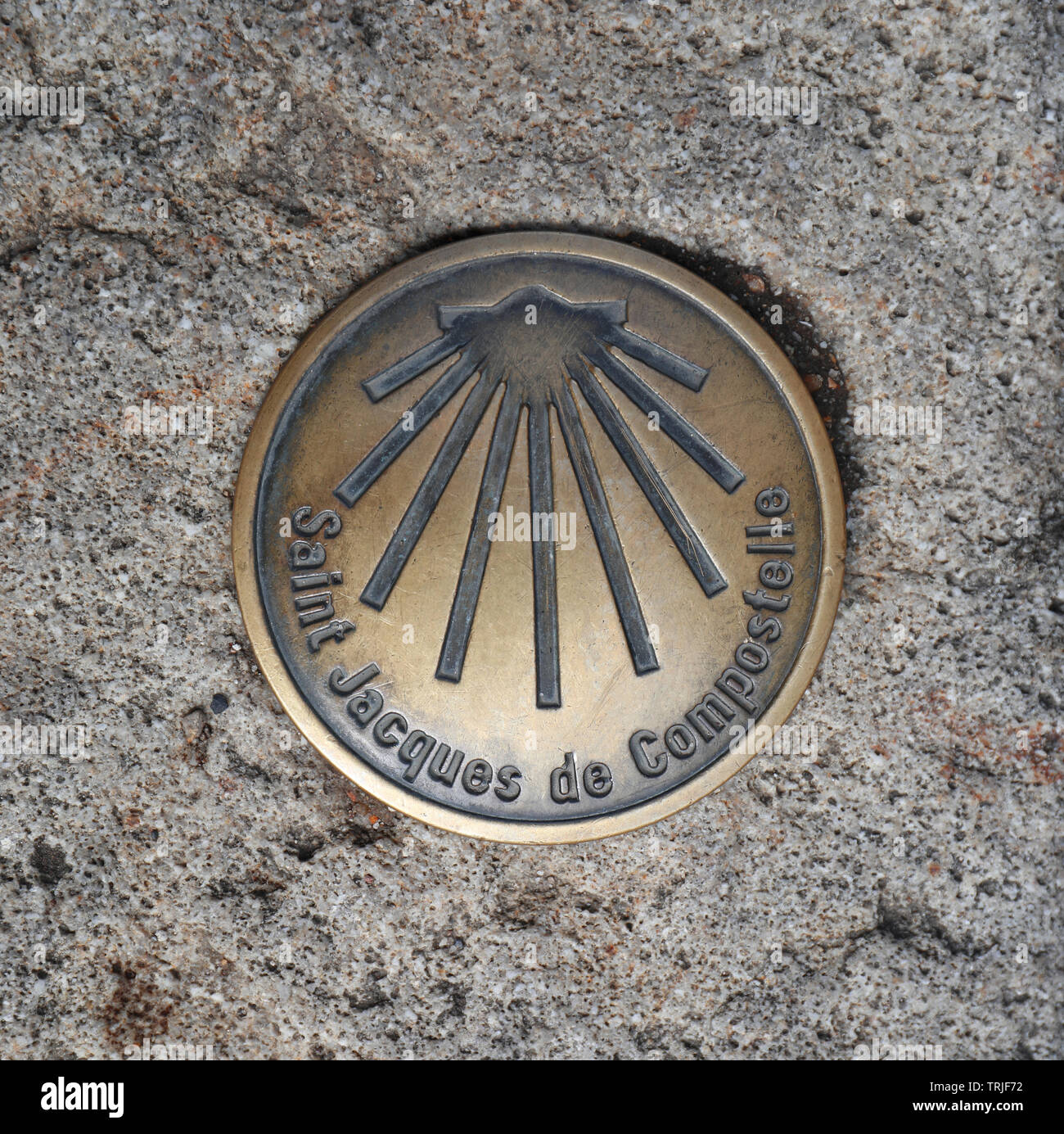 St jacques shell hi-res stock photography and images - Alamy