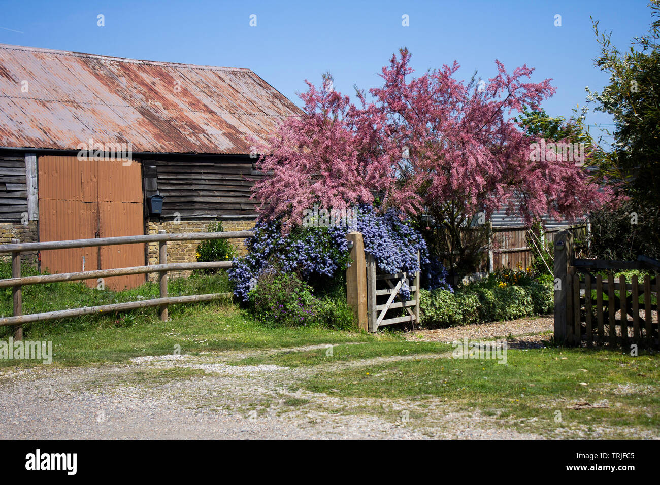 Wakering hi-res stock photography and images - Alamy