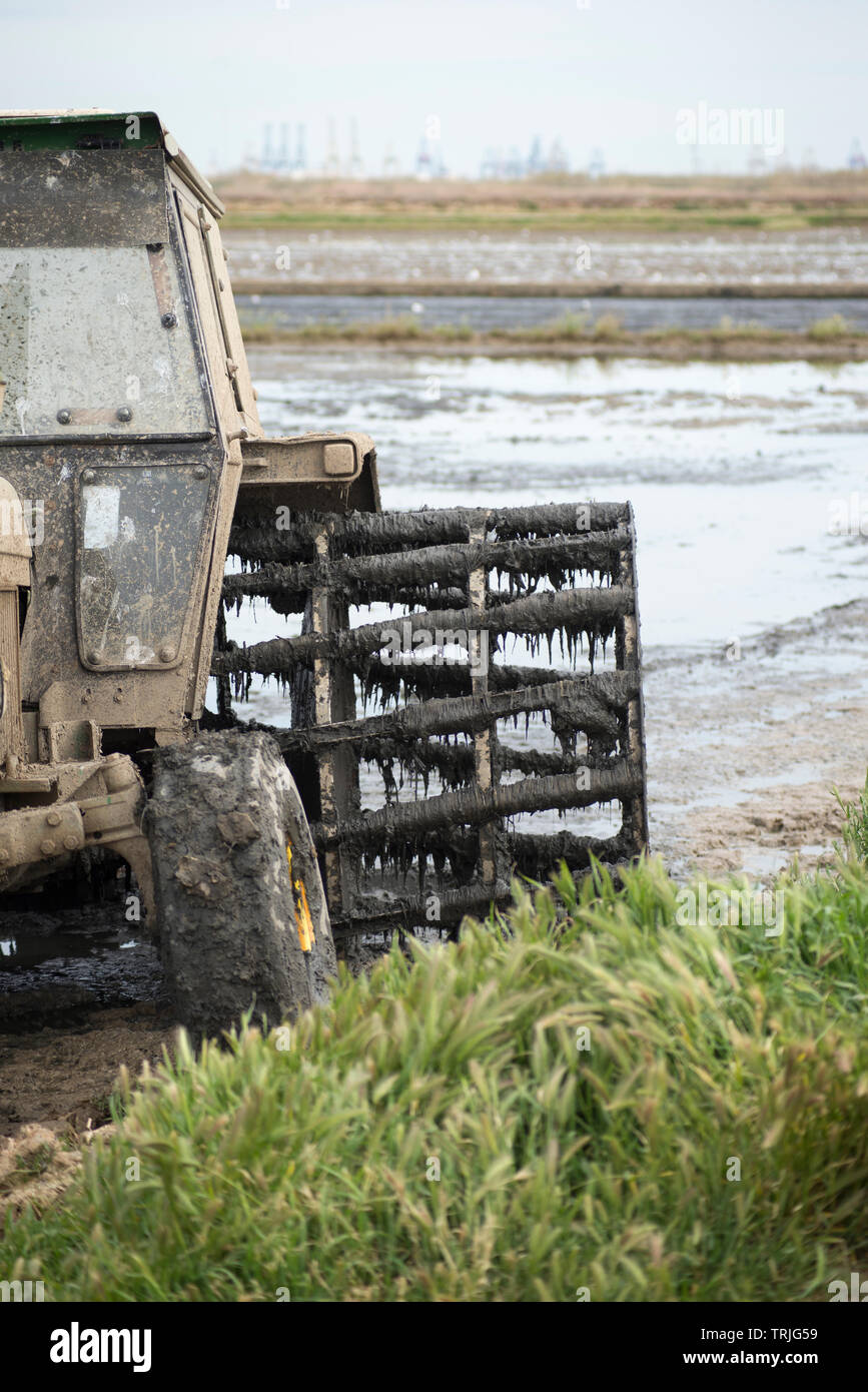 Ricefields agricultural task with tractor and iron wheels. Valencia ...