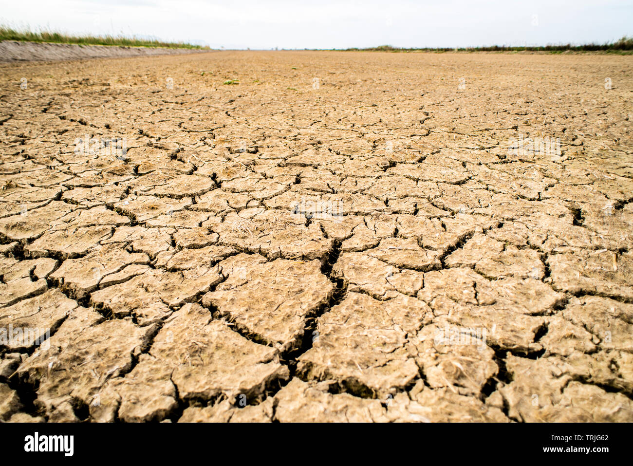 Drysoil hi-res stock photography and images - Alamy