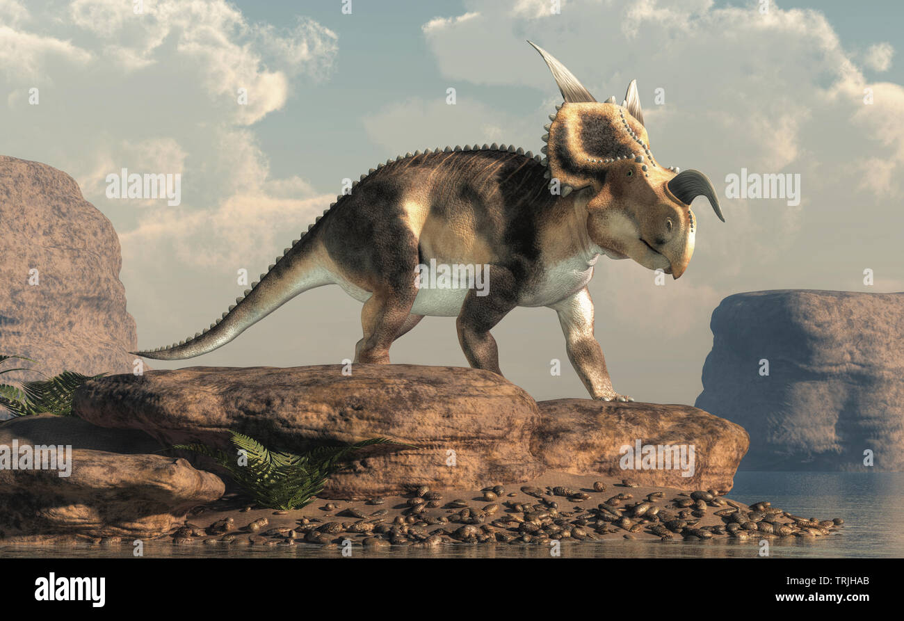 An Einiosaurus on boulders by a lake in an arid region. Einiosaurus was ...