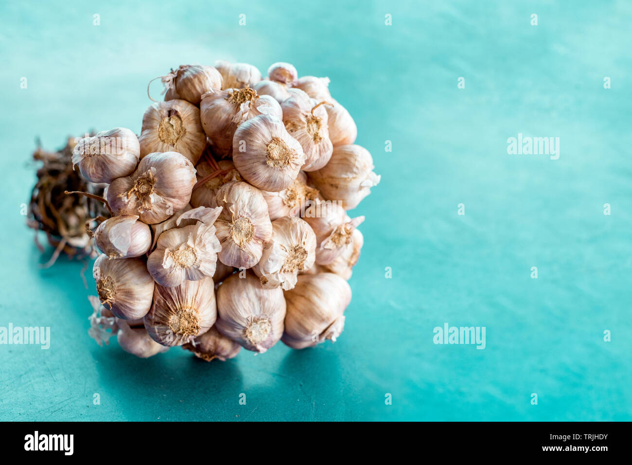 Garlic bulb cloves cluster on green background Stock Photo - Alamy