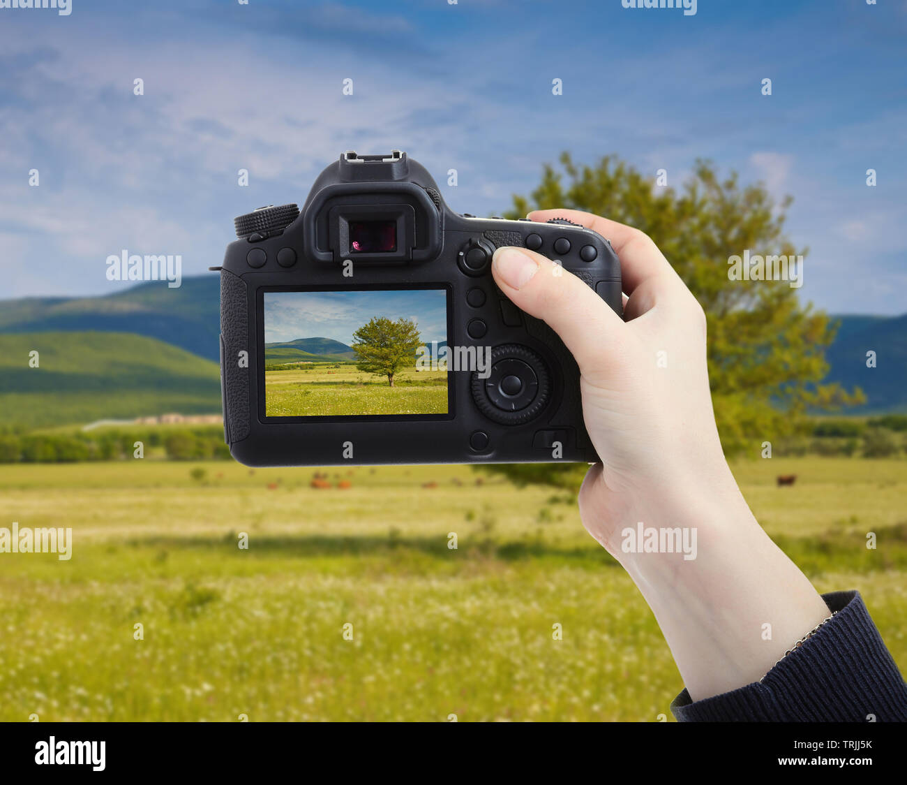 Female hand holding DSLR camera isolated on white Stock Photo - Alamy