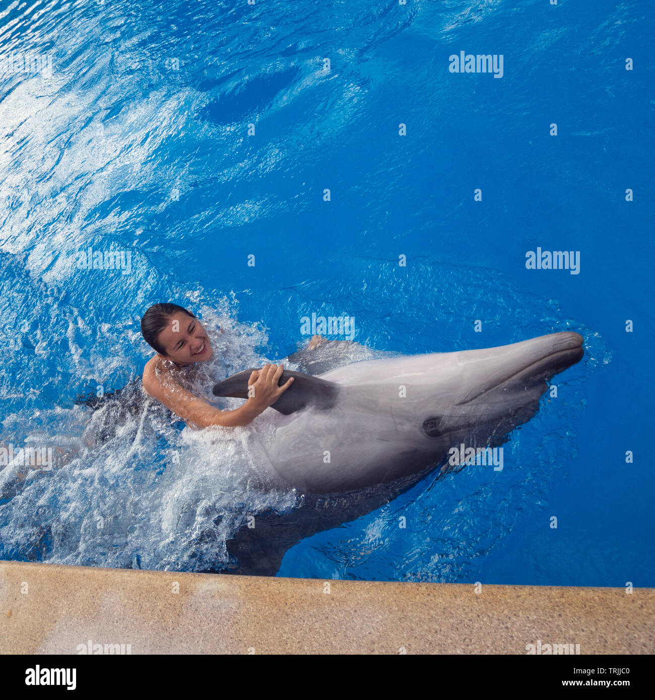 Dolphin hug hi-res stock photography and images - Alamy