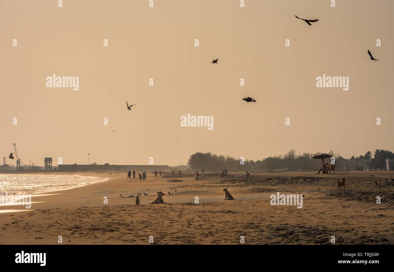 Kollam, Kerala, India - May 17, 2019: Evening snap from Kollam beach ...