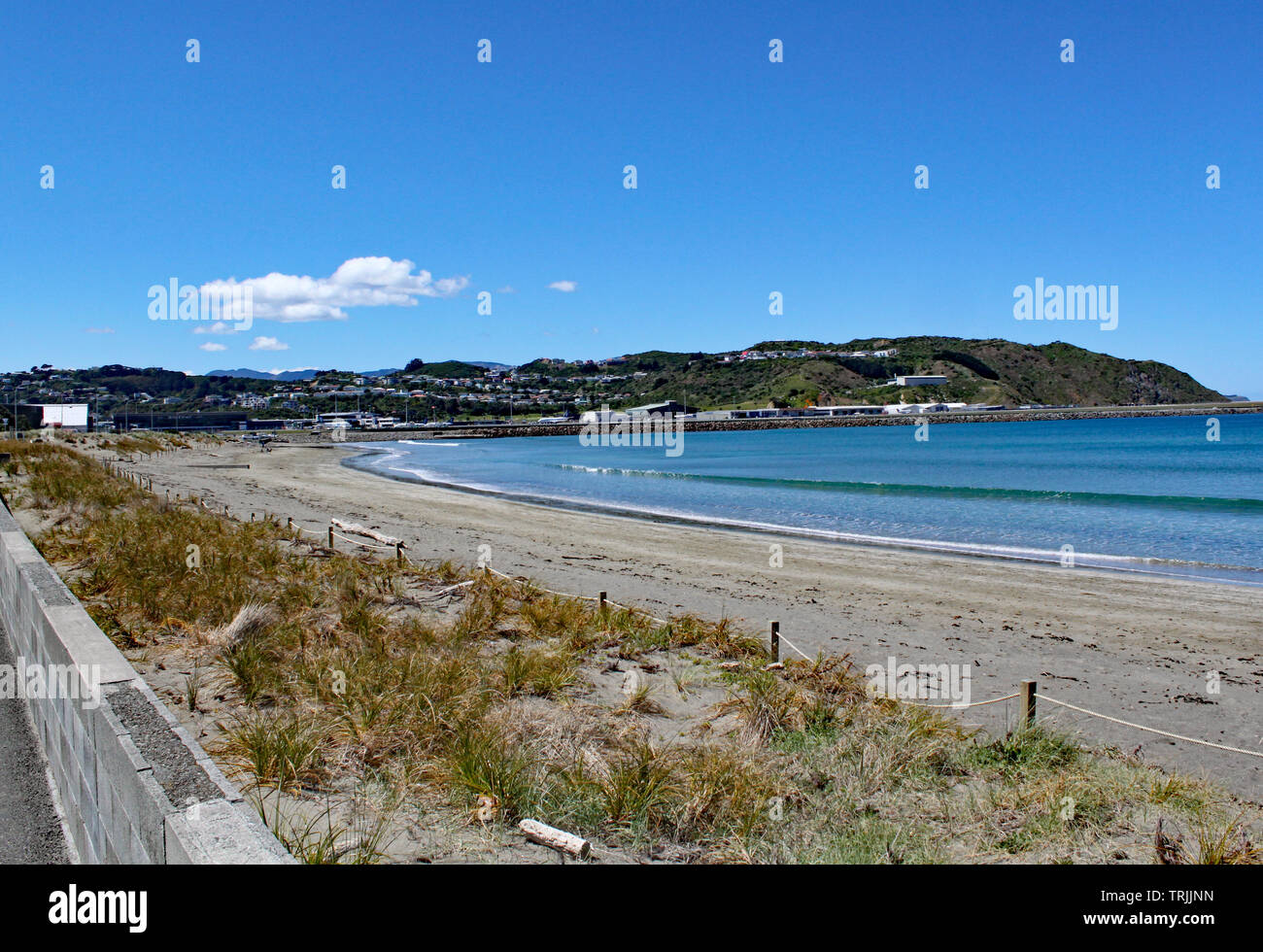 Lyall bay new zealand hi-res stock photography and images - Alamy