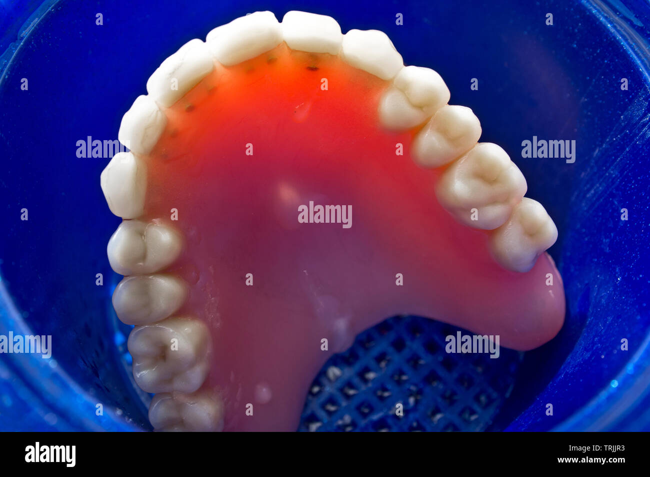 denture used in the blue box Stock Photo - Alamy