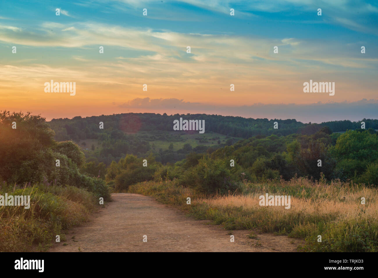 Sunset at Headley Heath Stock Photo - Alamy