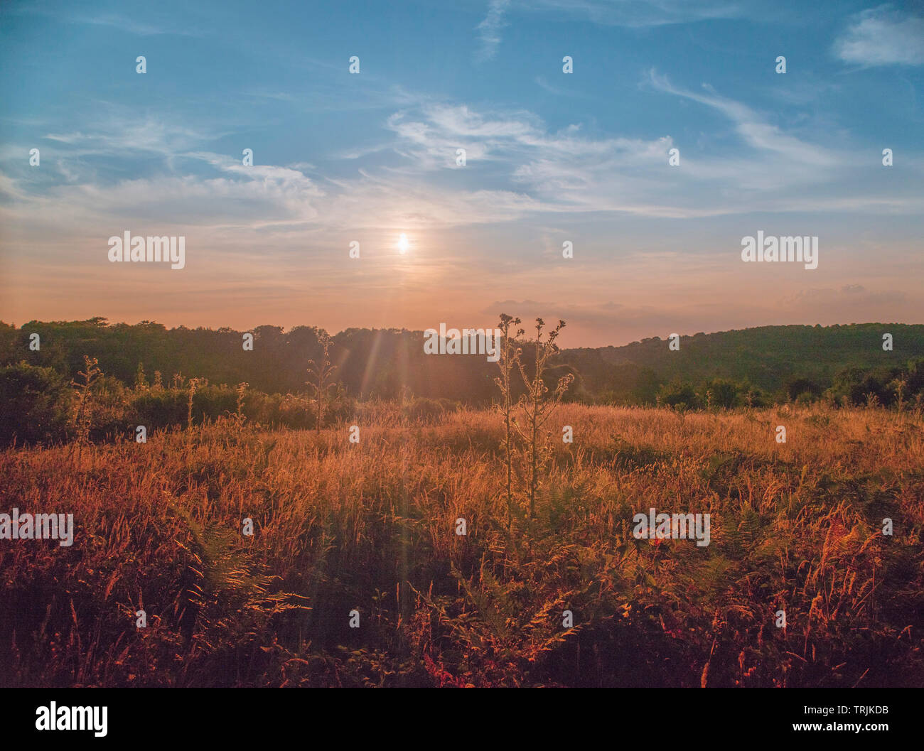 Sunset at Headley Heath Stock Photo - Alamy