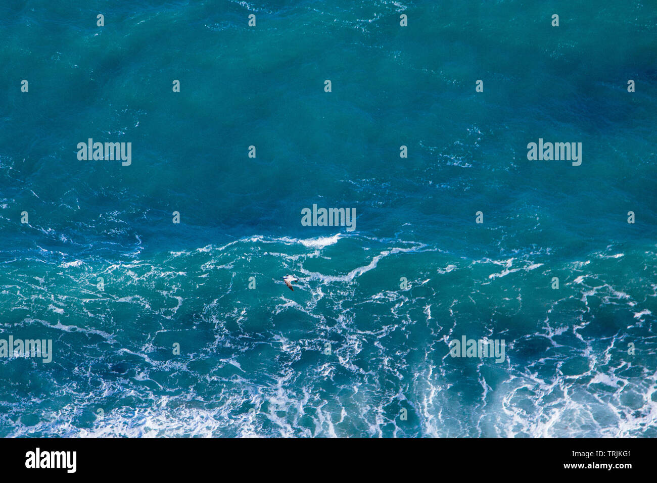 Sea texture hi-res stock photography and images - Alamy
