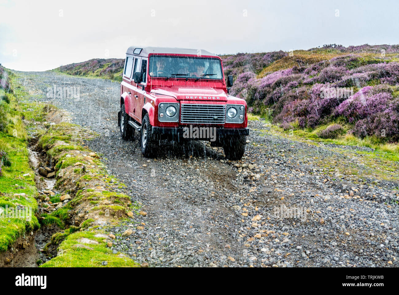 Red Land Rover Defender 110 4WD car navigating a Green Lane track ...