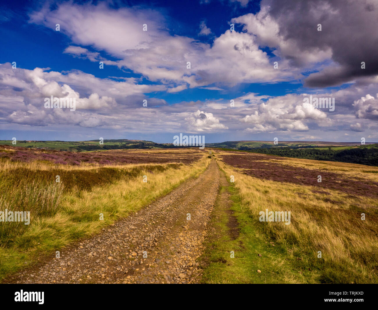 The yorkshire moors hi-res stock photography and images - Alamy