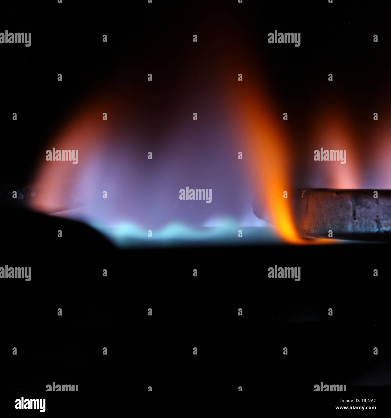 blue flames of a gas stove Stock Photo - Alamy