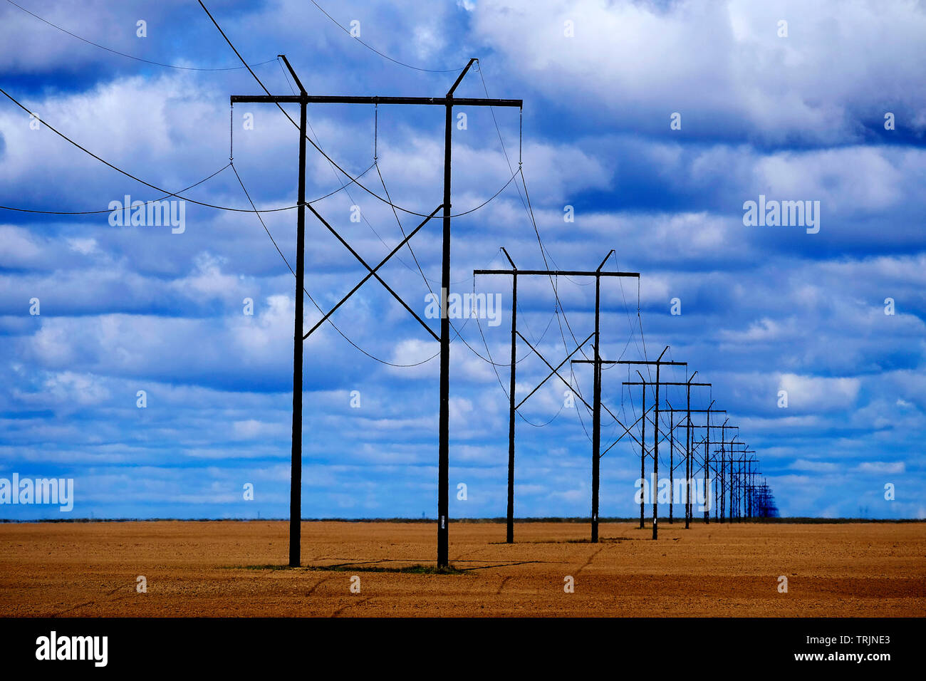 Powerlines in field with blue sky and clouds representing utility Stock ...