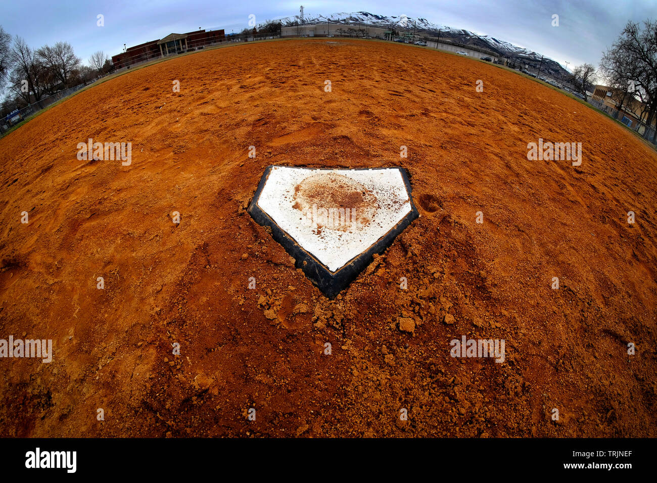Baseball play at homeplate hi-res stock photography and images - Alamy