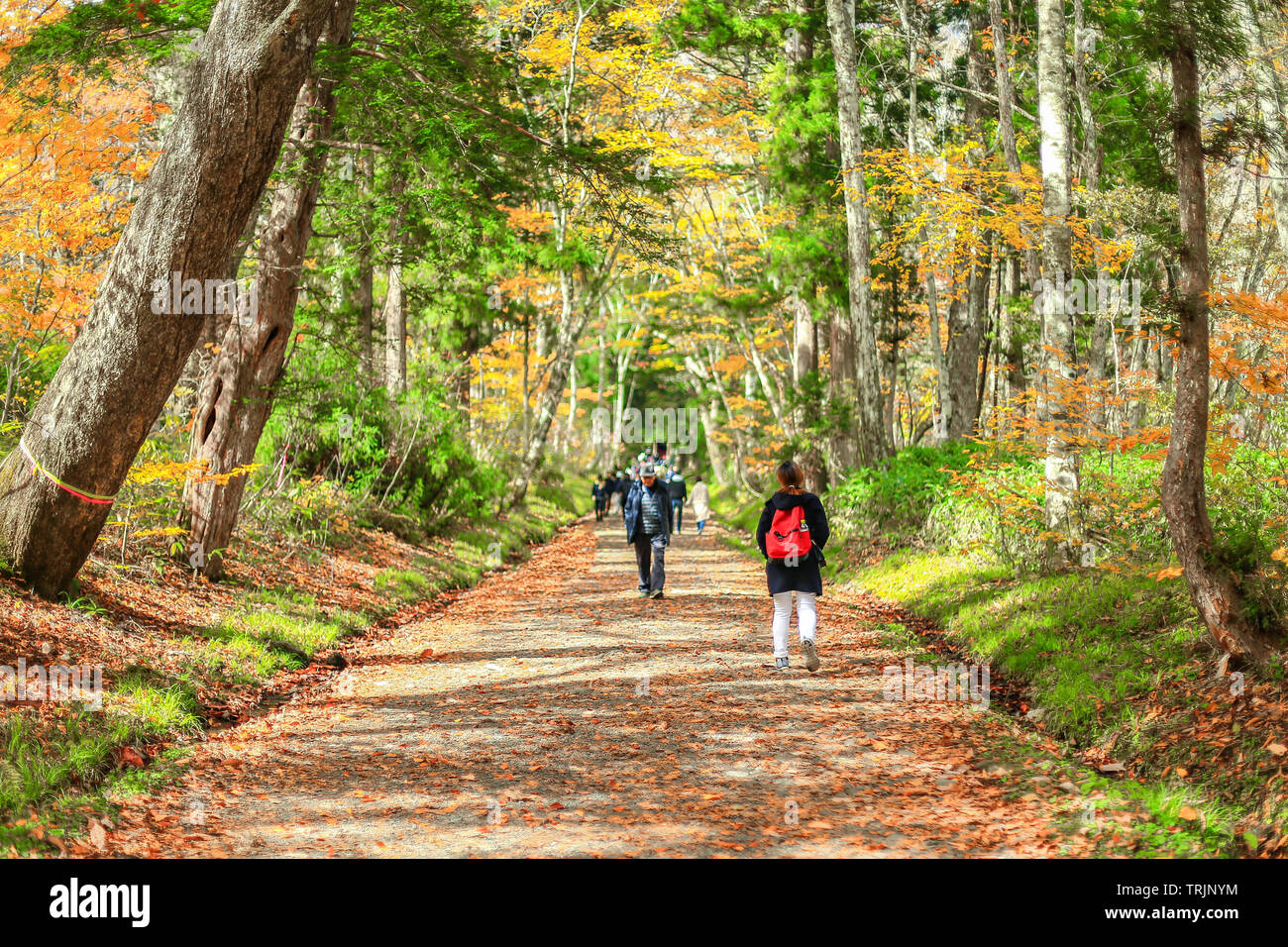 Colorful romantic scenery hi-res stock photography and images - Alamy
