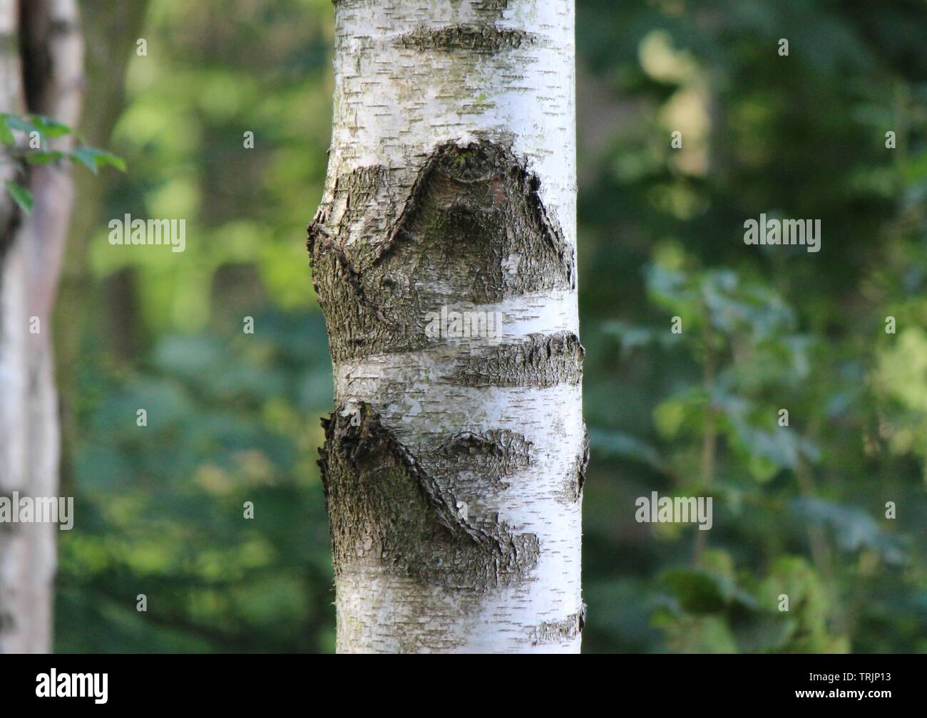 Grumpy face hi-res stock photography and images - Alamy