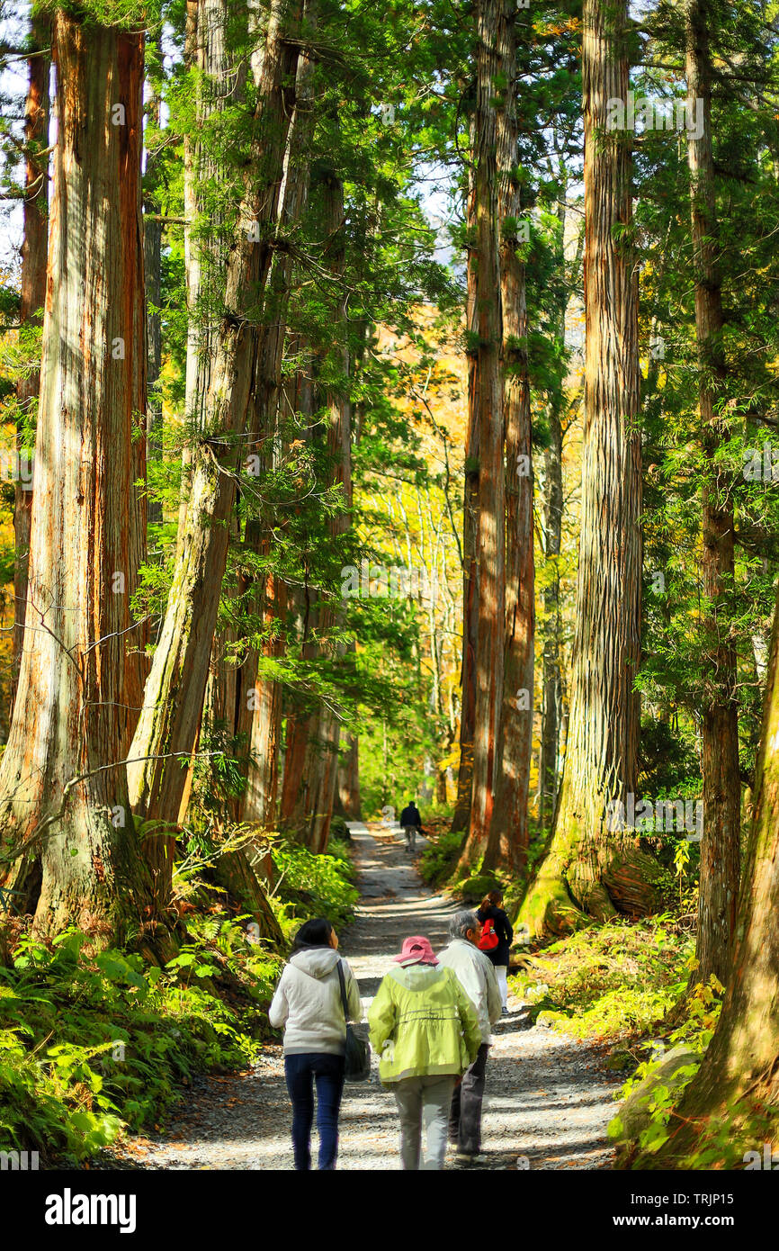 Path wallpaper hi-res stock photography and images - Alamy