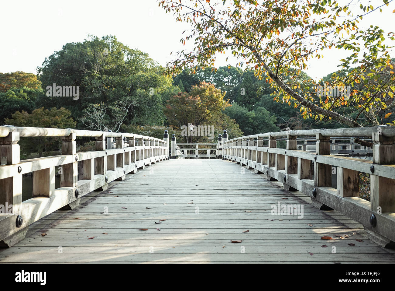 The Old White Bridge Stock Photo - Alamy