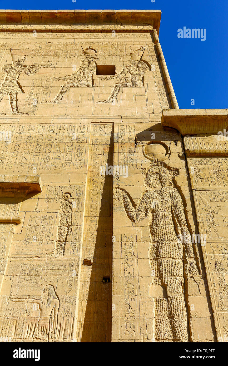 Wall decorations and hieroglyphics of the gods Ra, Osiris and Horus in ...