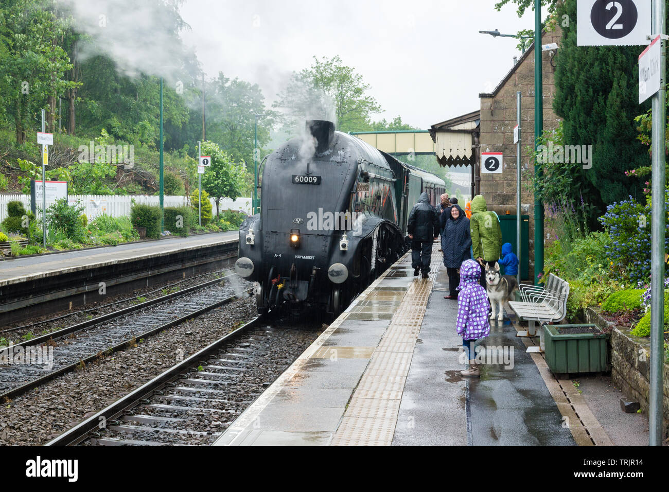 The steam locomotive Union of South Africa 60009 LNER A4 Class on a ...