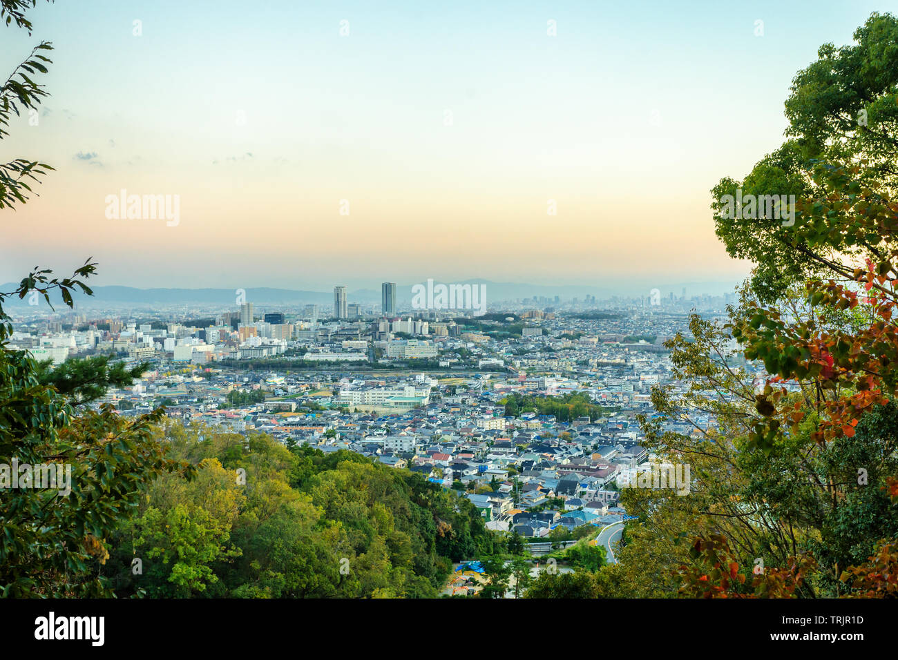 Morning Beautiful City Japan