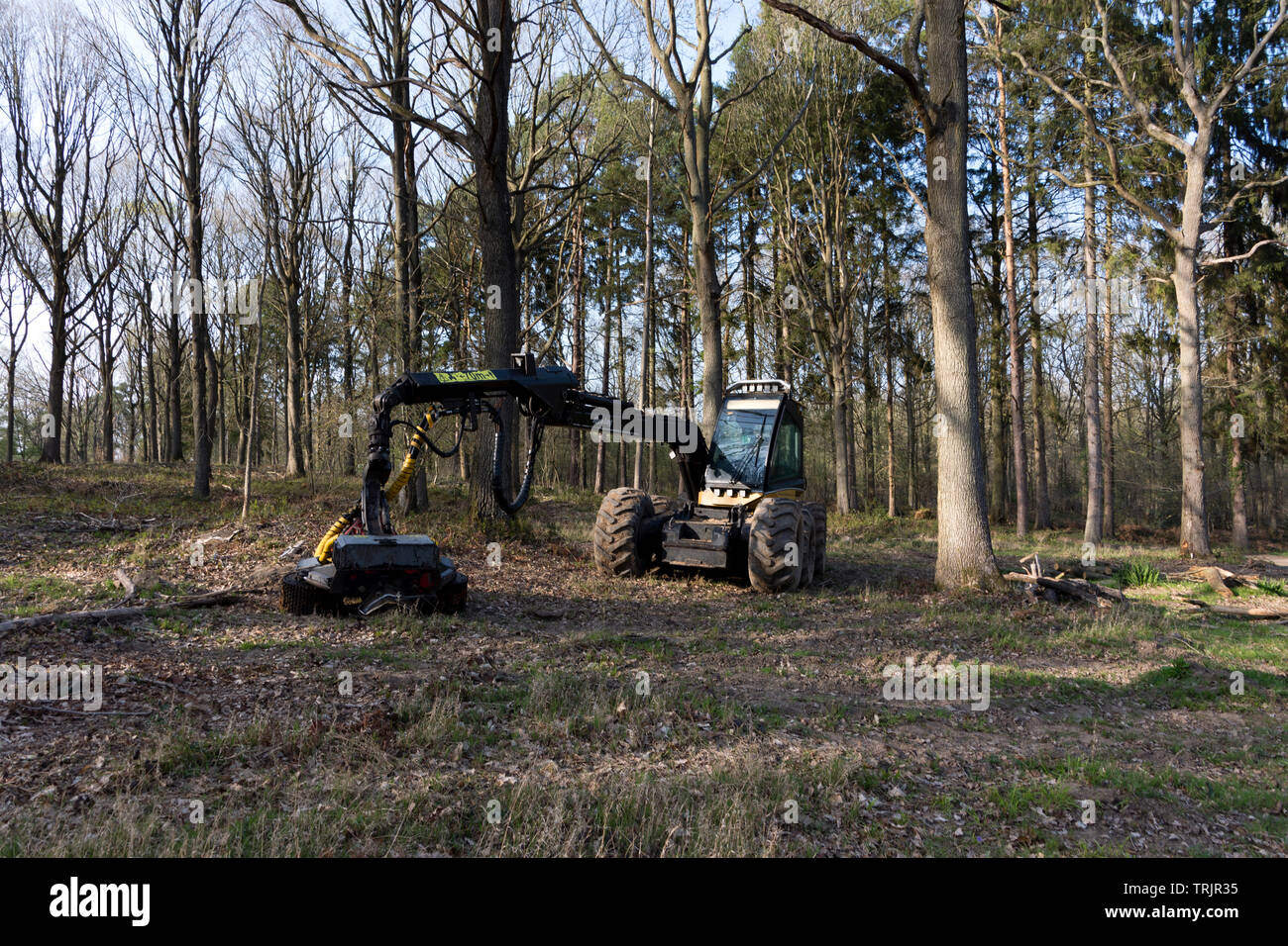 Timberjack harvester hi-res stock photography and images - Alamy