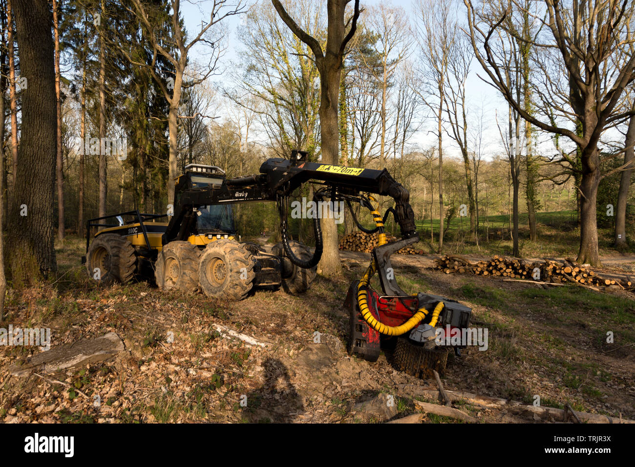 Timberjack harvester hi-res stock photography and images - Alamy
