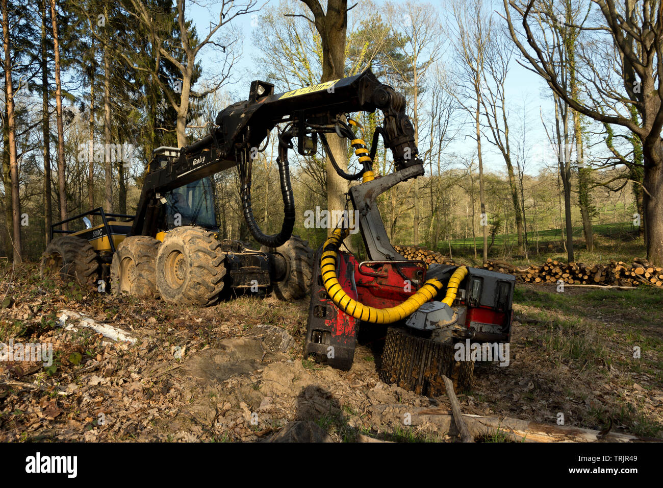 Timberjack harvester hi-res stock photography and images - Alamy