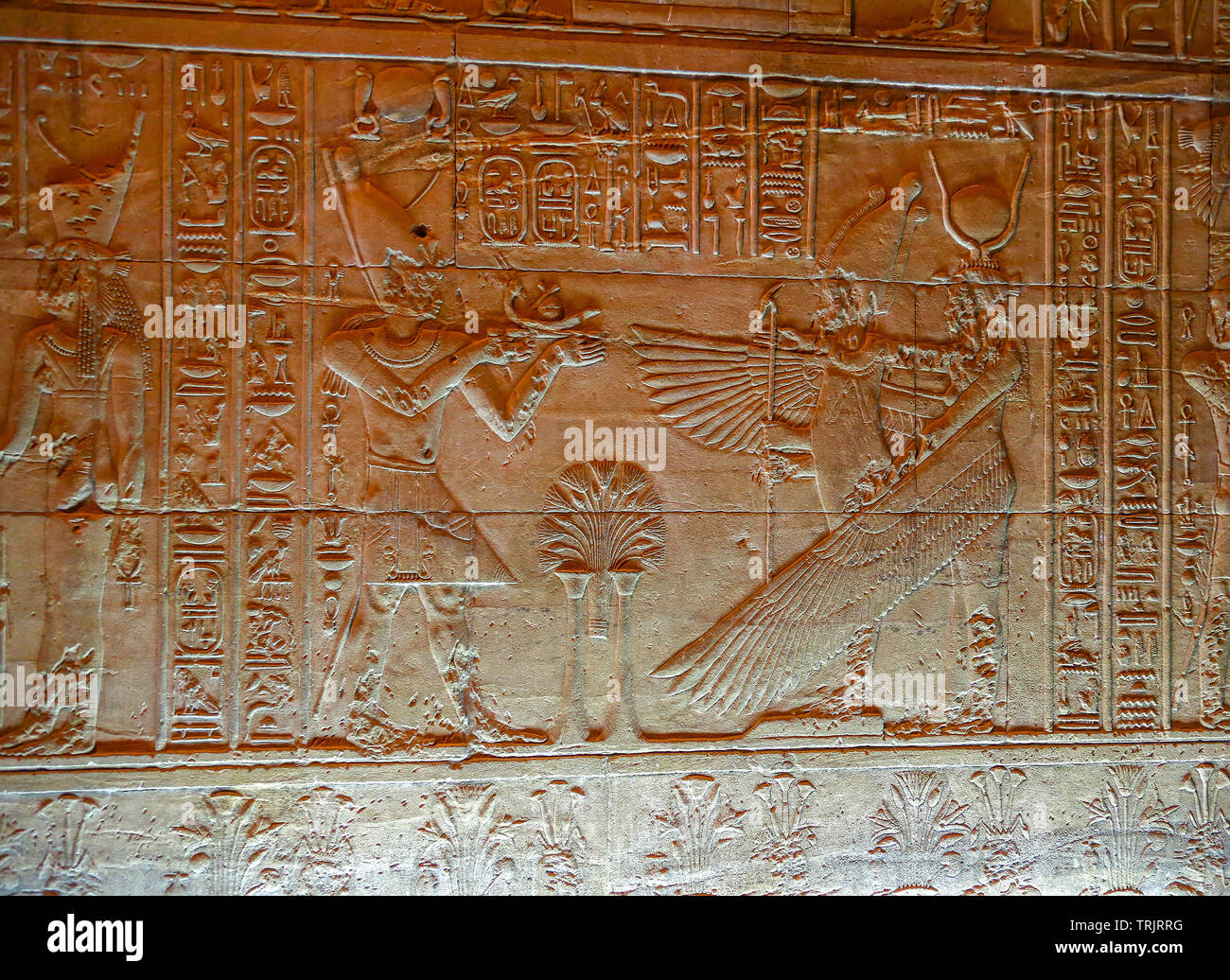Wall decorations and hieroglyphics of the gods Ra, Osiris and Horus in ...