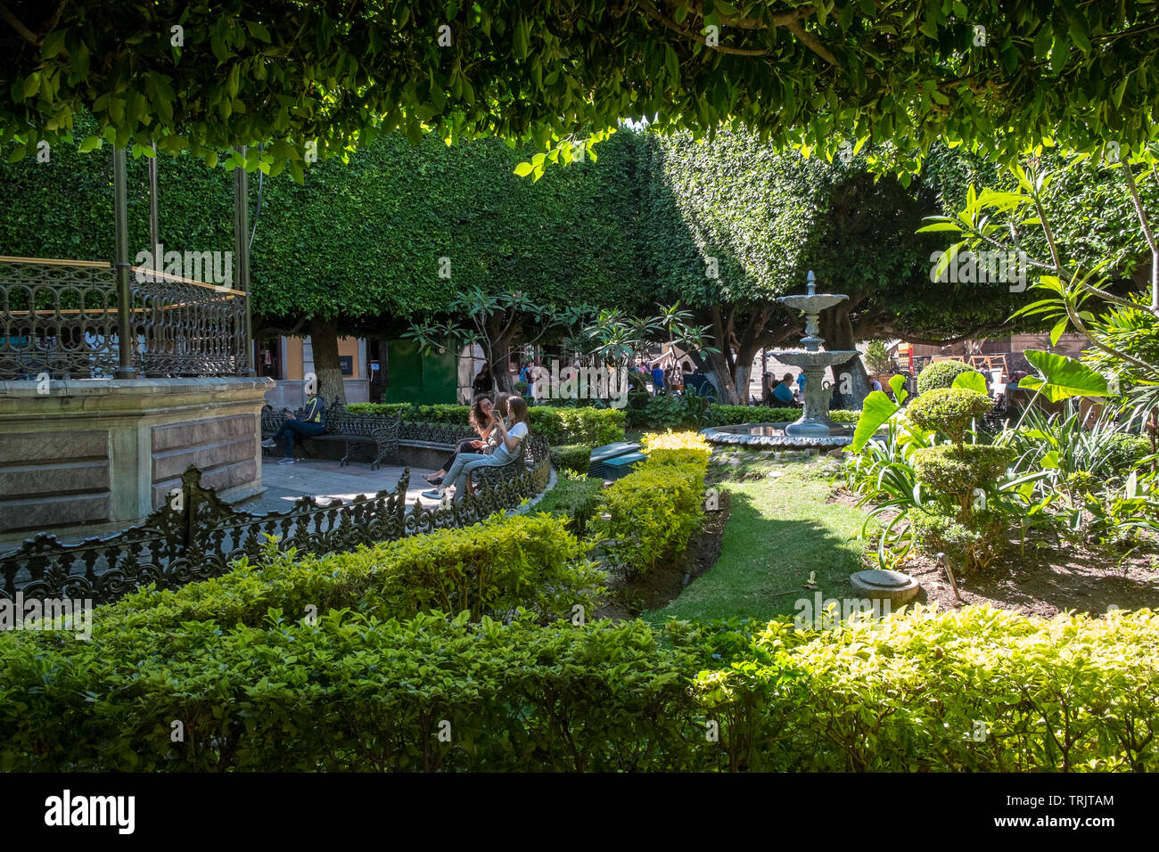 City park in spring time, Guanajuato, Mexico Stock Photo - Alamy