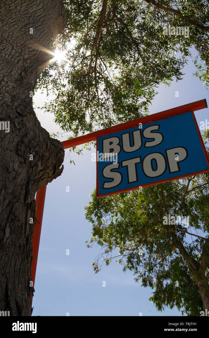 Bus stop tree sign hi-res stock photography and images - Alamy