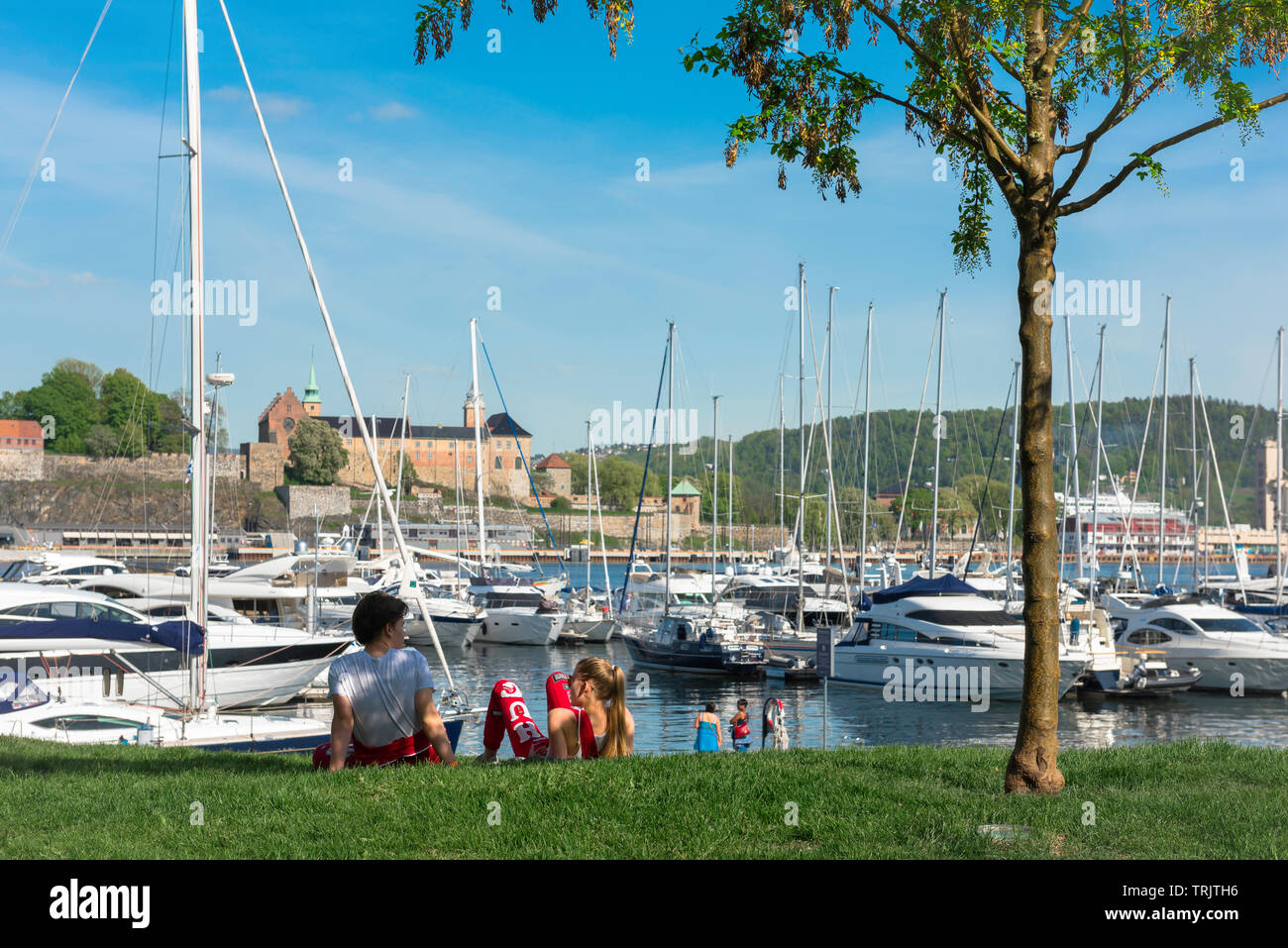 Oslo Marina, view in summer of yachts and boats moored in the marina of ...